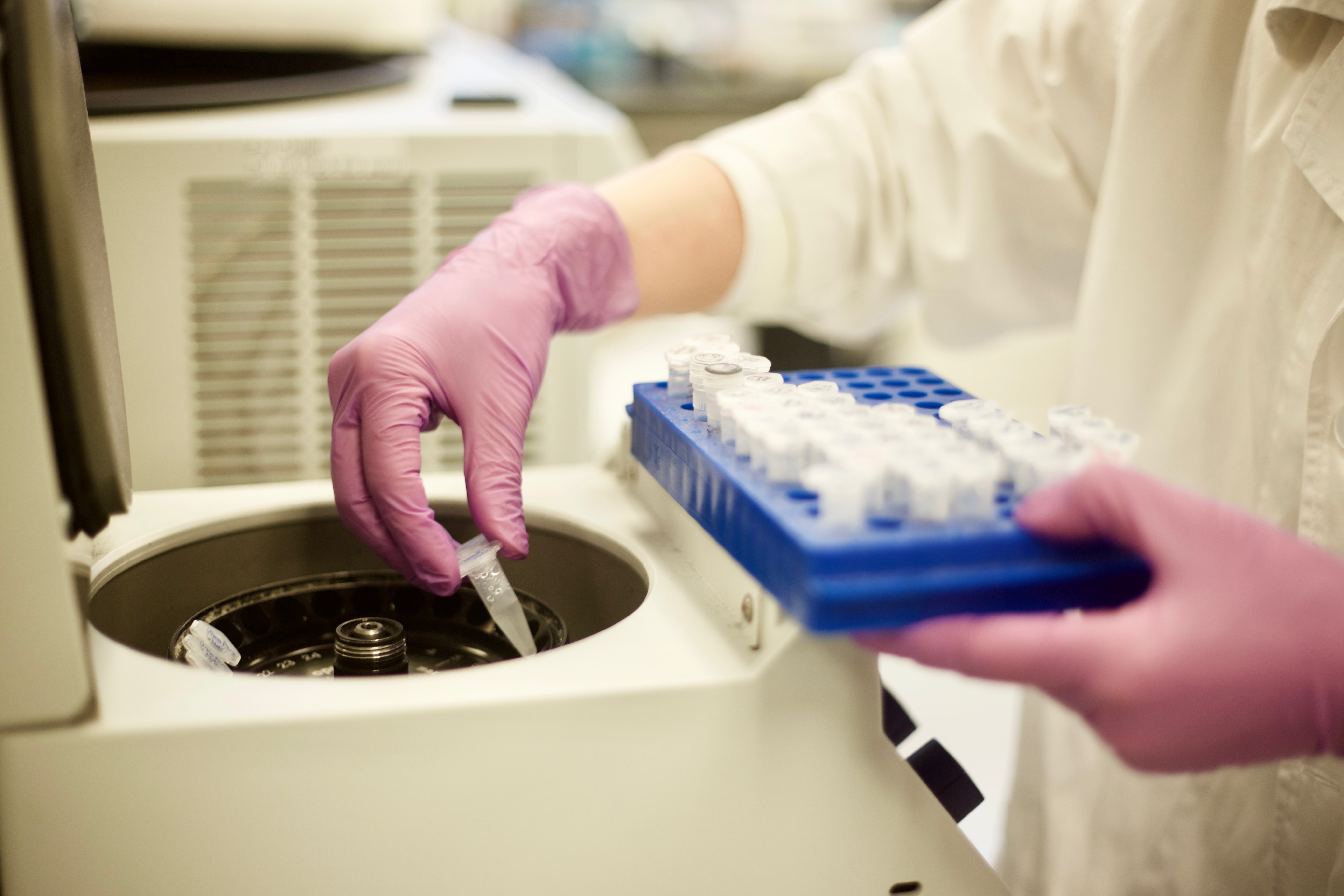 The Croucher Foundation