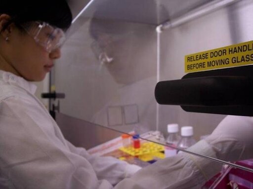 Croucher Studentships | The Croucher Foundation